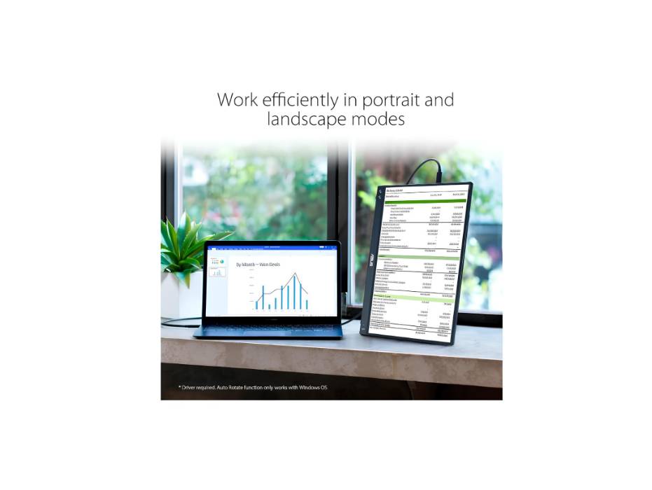 ASUS ZenScreen MB166C Portable USB Monitor- 15.6 inch, Full HD, IPS ...